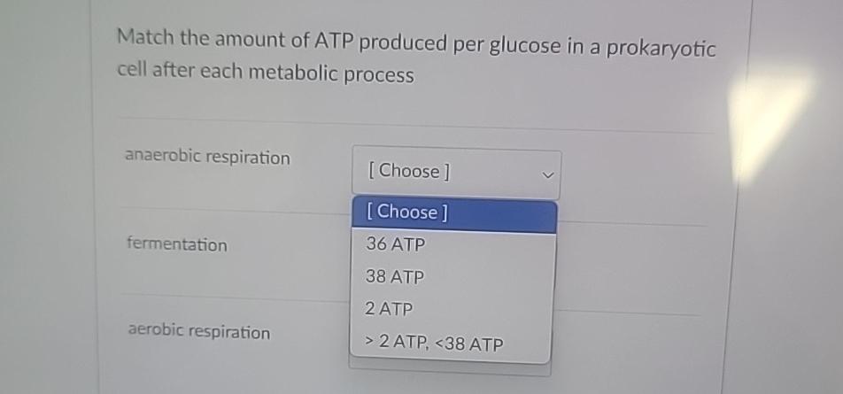 Solved Match the amount of ATP produced per glucose in a | Chegg.com