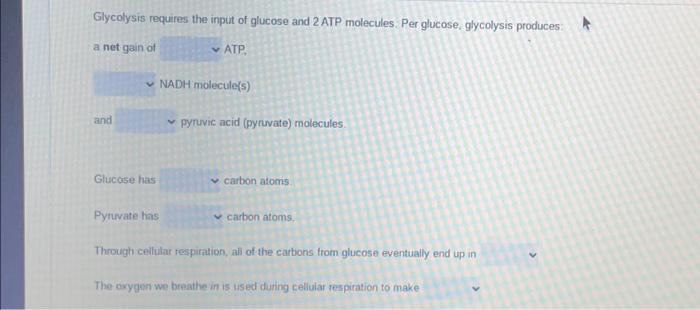Solved Glycolysis requires the input of glucose and 2 ATP | Chegg.com