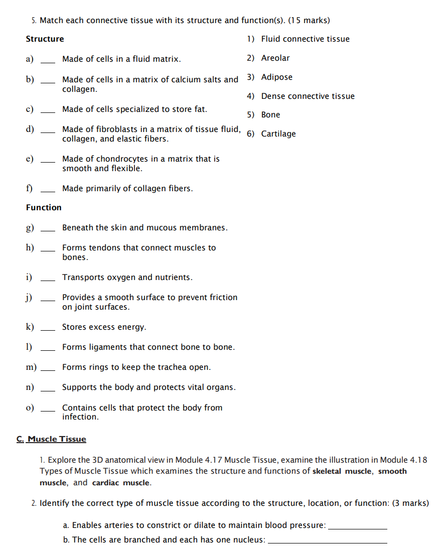 Solved Match each connective tissue with its structure and | Chegg.com