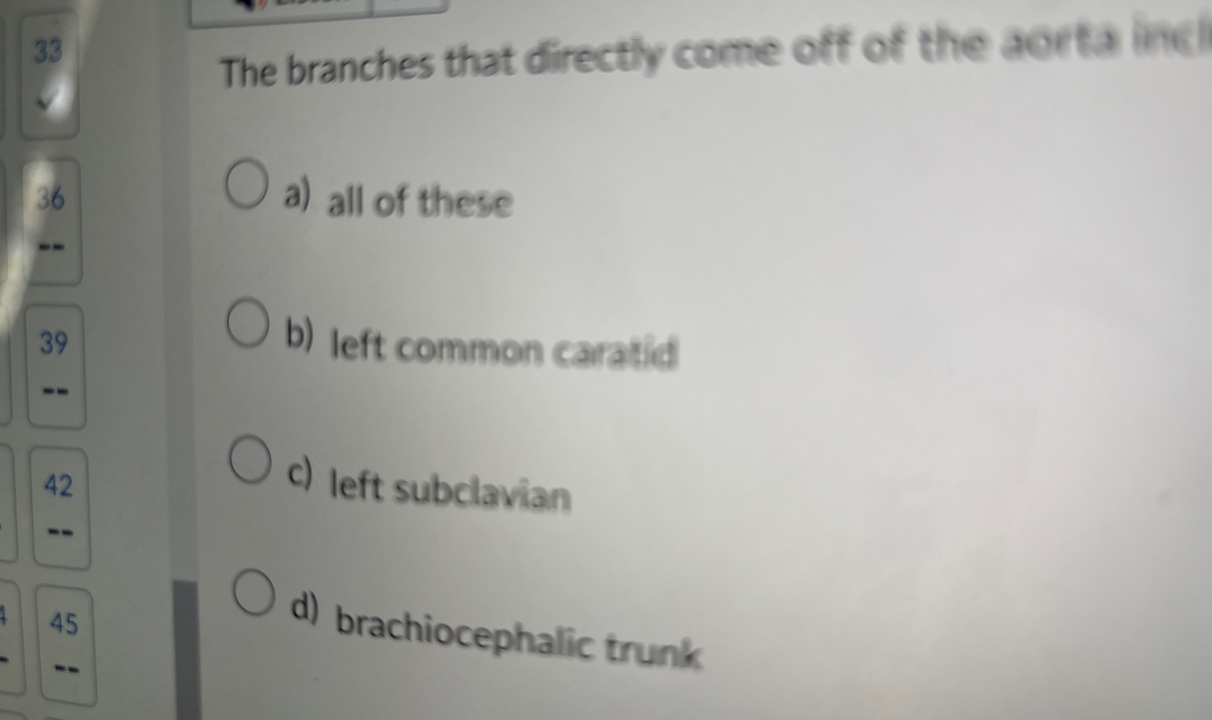Solved The branches that directly come off of the aorta | Chegg.com