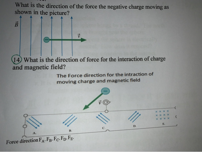 Solved What is the direction of the force the negative | Chegg.com