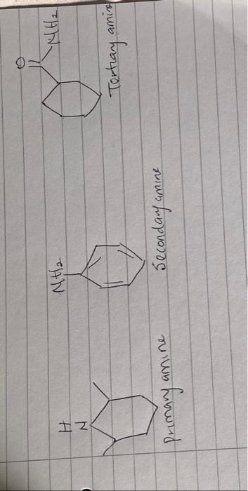 Solved Tertiay amive primay amine Seconday amine | Chegg.com