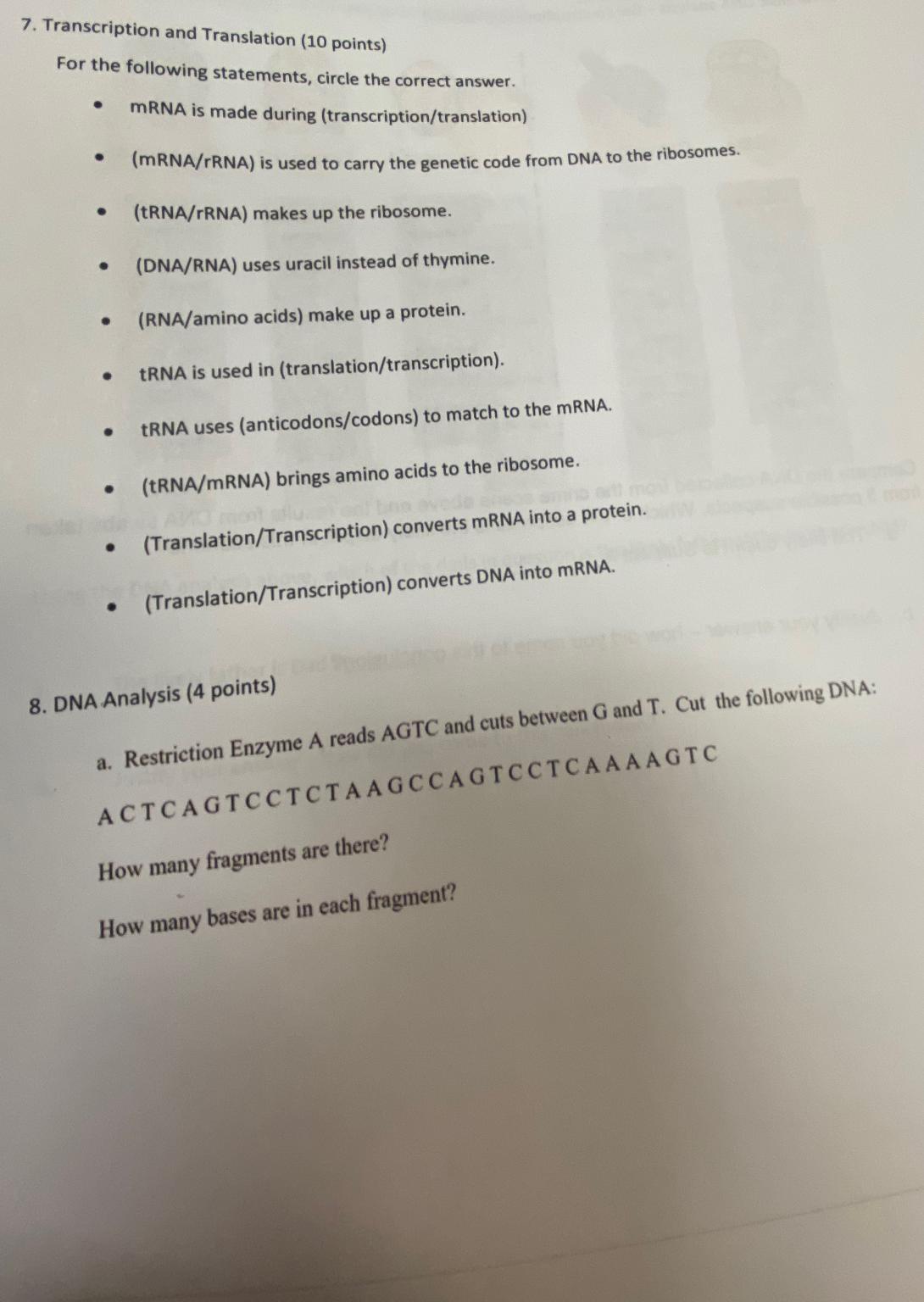 Solved Transcription and Translation (10 ﻿points)For the | Chegg.com