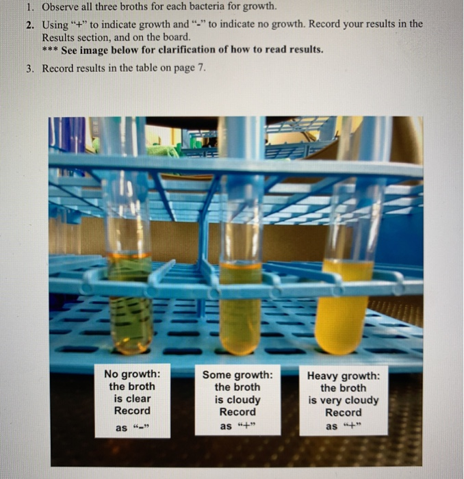 Solved 1. Observe all three broths for each bacteria for | Chegg.com