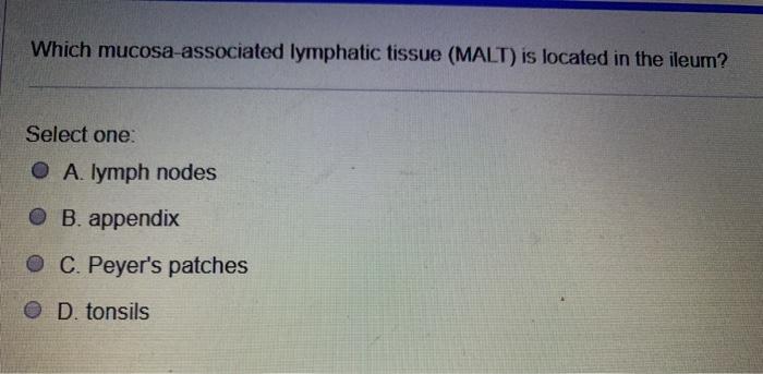 Solved Which mucosa-associated lymphatic tissue (MALT) is | Chegg.com