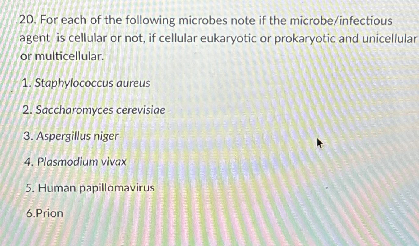 Solved For each of the following microbes note if the | Chegg.com
