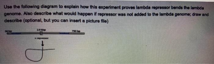 Solved Use the following diagram to explain how this | Chegg.com