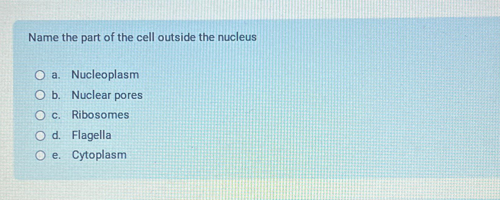 Solved Name the part of the cell outside the nucleusa. | Chegg.com