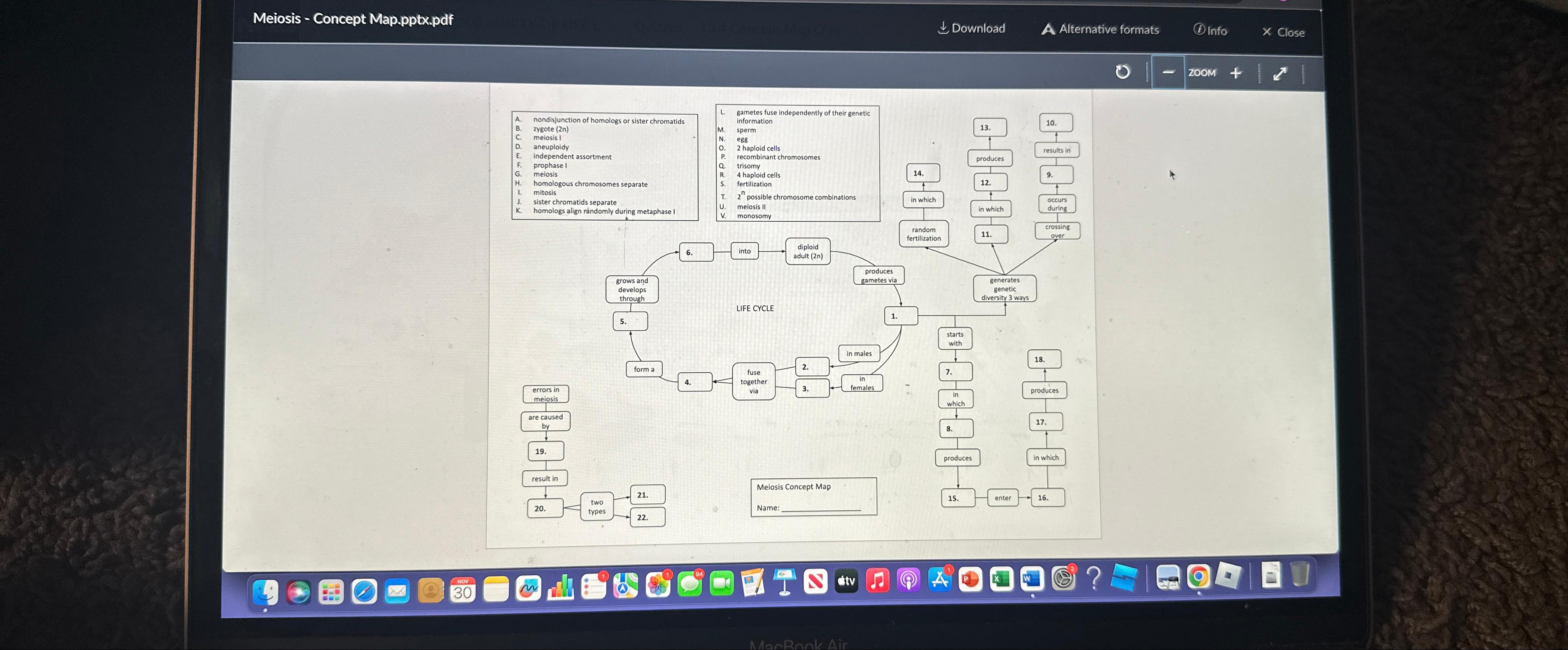 Solved Meiosis concept map | Chegg.com
