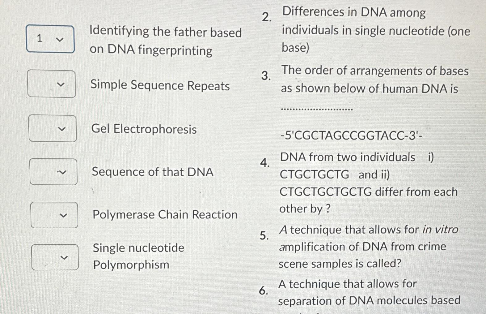 Solved Identifying the father based on DNA | Chegg.com
