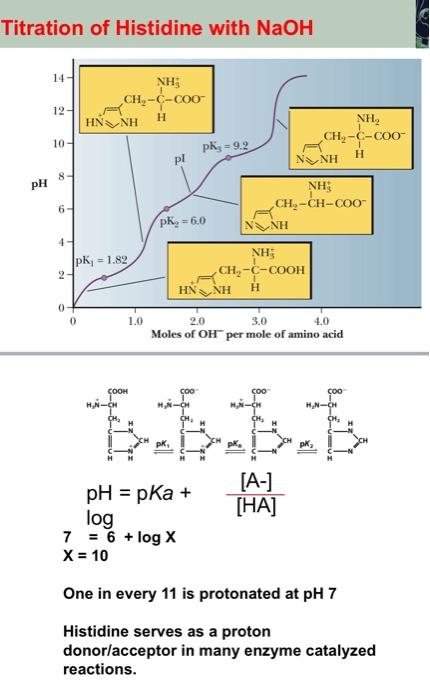 Solved Titration of Histidine with NaOH | Chegg.com