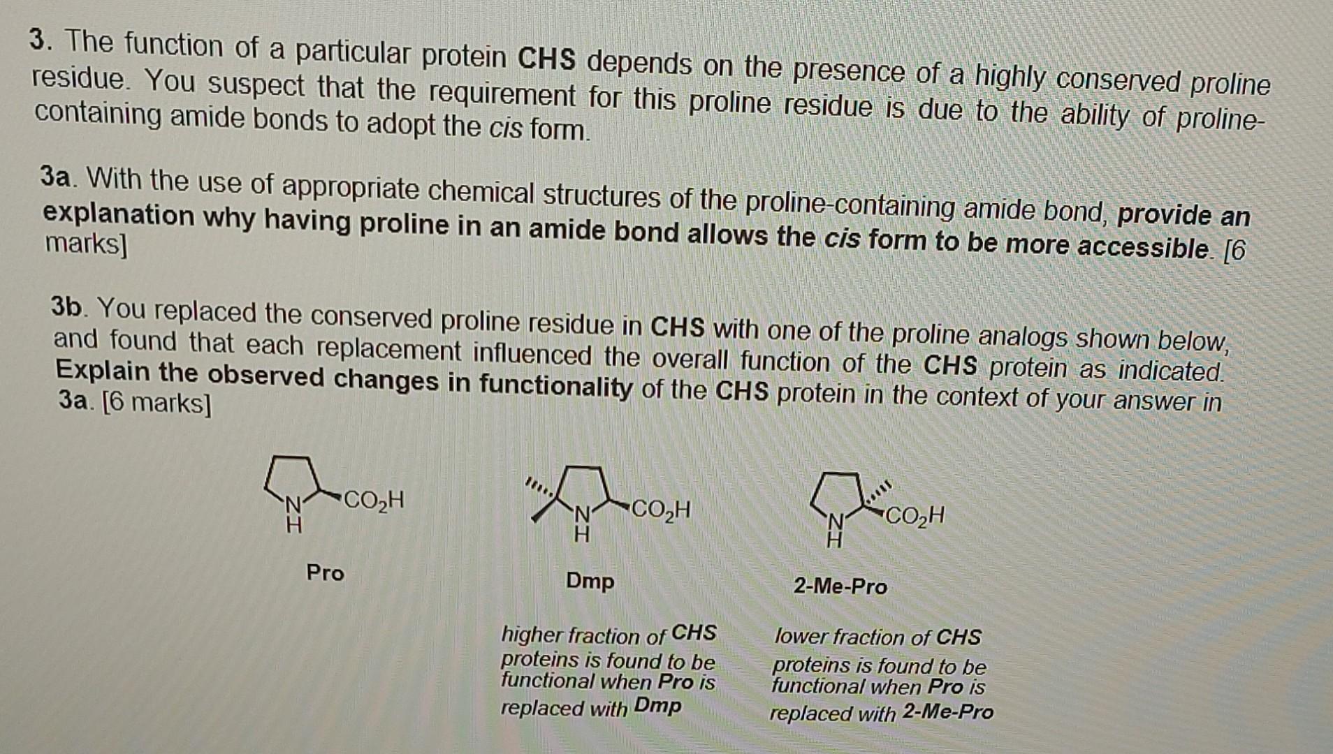 Solved 3. The function of a particular protein CHS depends | Chegg.com