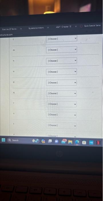 Solved Match the following structures in the diagram with | Chegg.com
