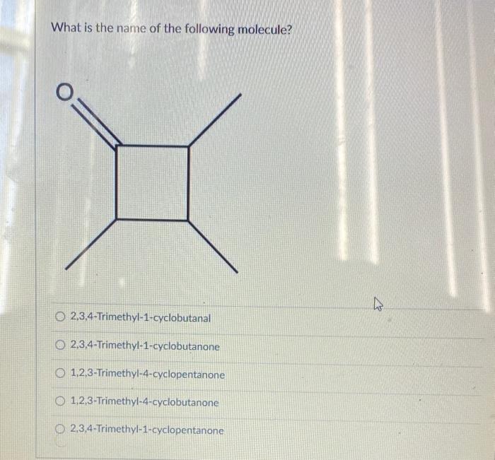 Solved What is the name of the following molecule? | Chegg.com