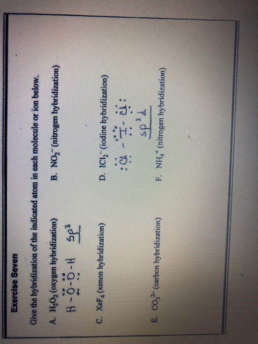 Solved Exercise Seven Give the hybridization of the | Chegg.com