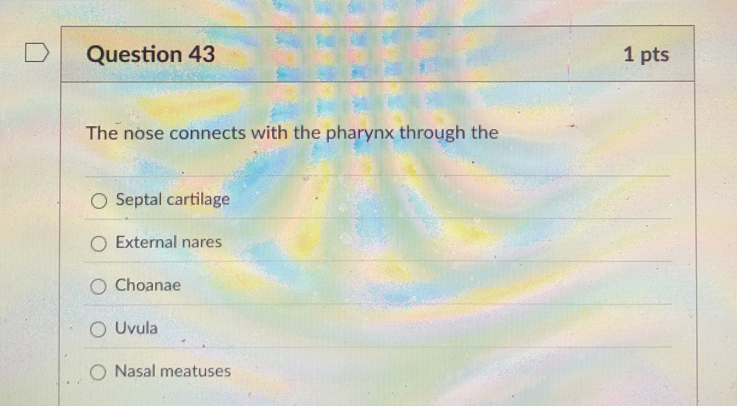 Solved Question 43The nose connects with the pharynx through | Chegg.com