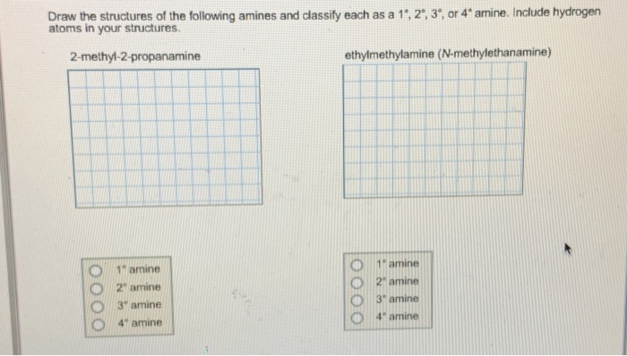 Solved Draw the structures of the following amines and | Chegg.com