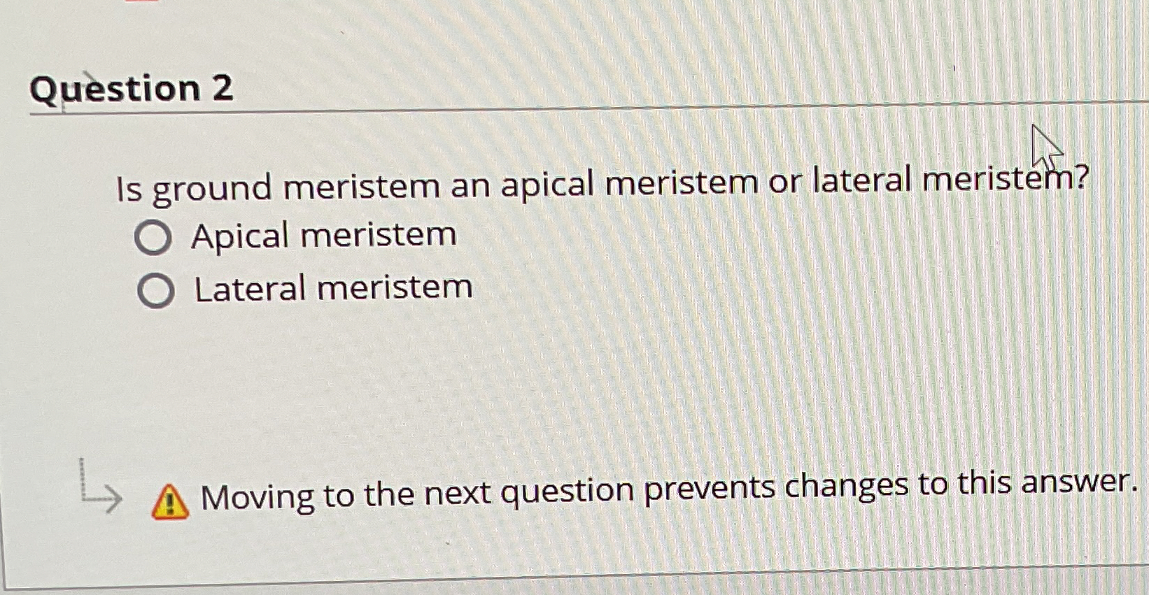 Solved Quèstion 2Is ground meristem an apical meristem or | Chegg.com
