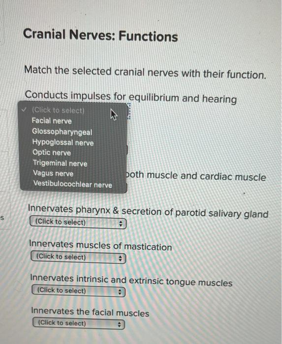 Solved Cranial Nerves: Functions Match the selected cranial | Chegg.com Solved Cranial Nerves: Functions Match the selected cranial | Chegg.com