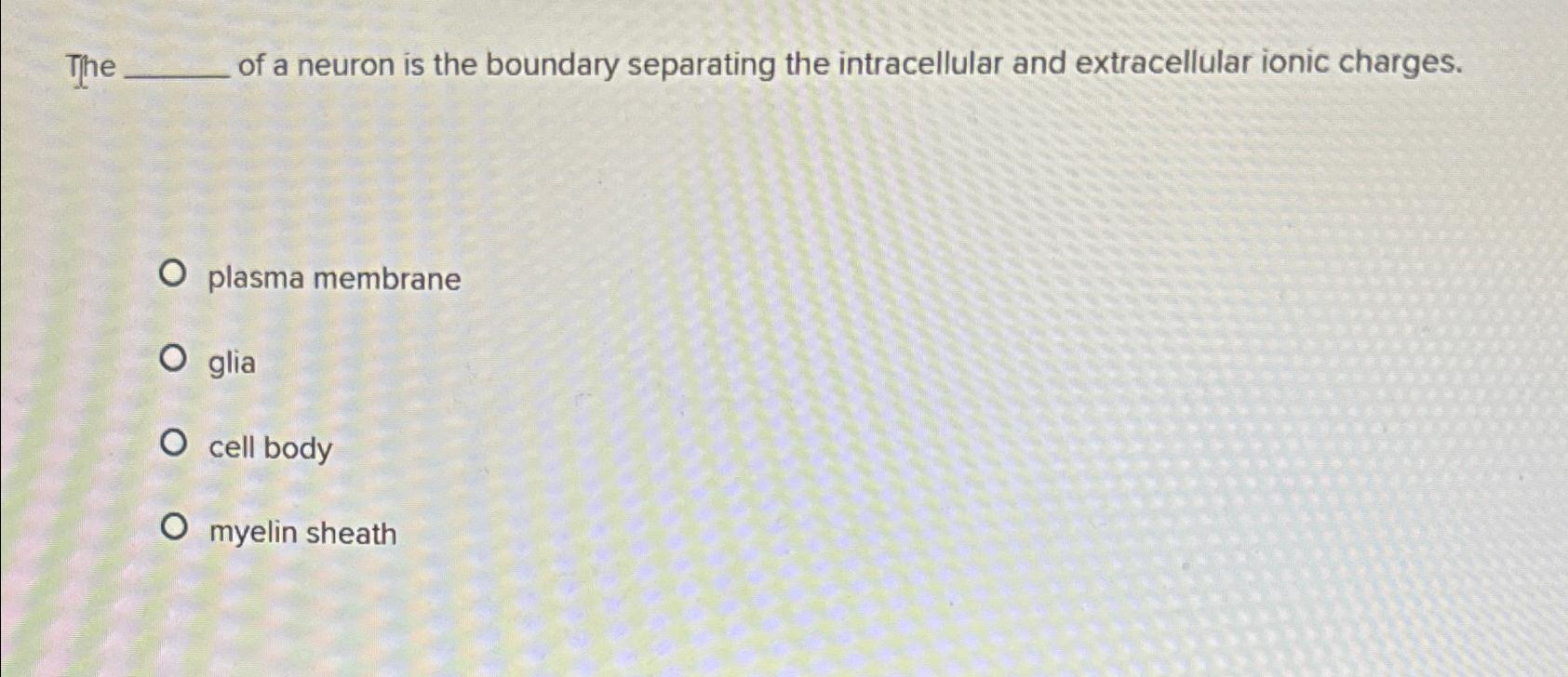 Solved The of a neuron is the boundary separating the | Chegg.com