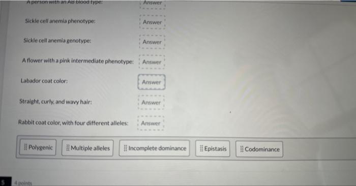 Solved 4 points In a cross between AaBbCcDD and AabbCCDd, | Chegg.com