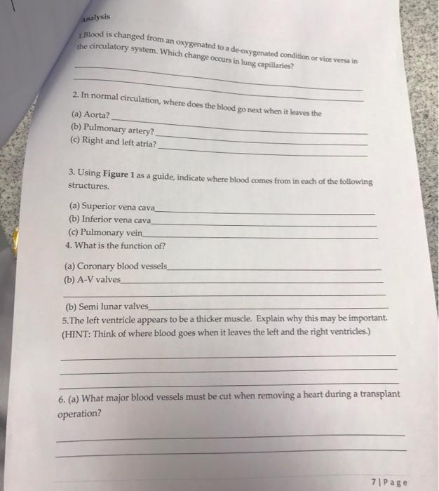 Solved Analysis 1. Blood is changed from an oxygenated to a | Chegg.com