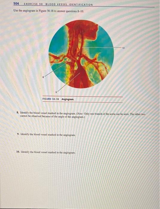 Solved Name Date Section EXERCISE Using Your Knowledge 30 A. | Chegg.com