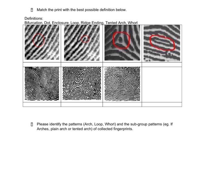 Solved Match the print with the best possible definition | Chegg.com