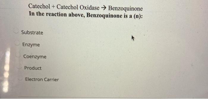 Solved Catechol + Catechol Oxidase → Benzoquinone In the | Chegg.com