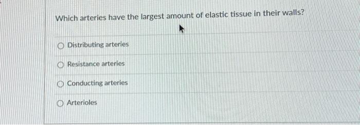 Solved Which arteries have the largest amount of elastic | Chegg.com