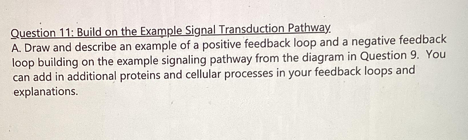 Solved Question 11: Build on the Example Signal Transduction | Chegg.com