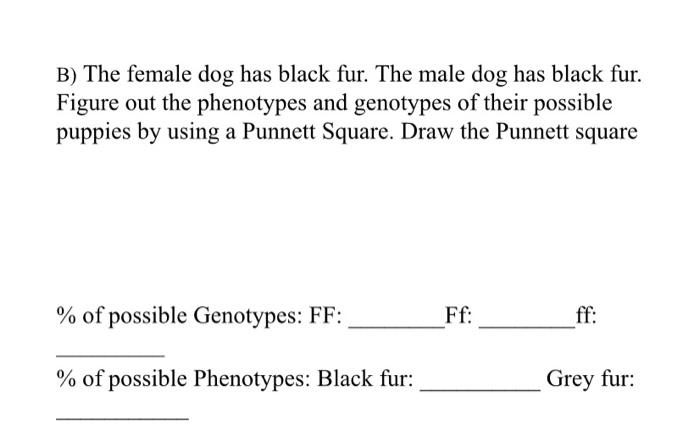 Solved B) The female dog has black fur. The male dog has | Chegg.com