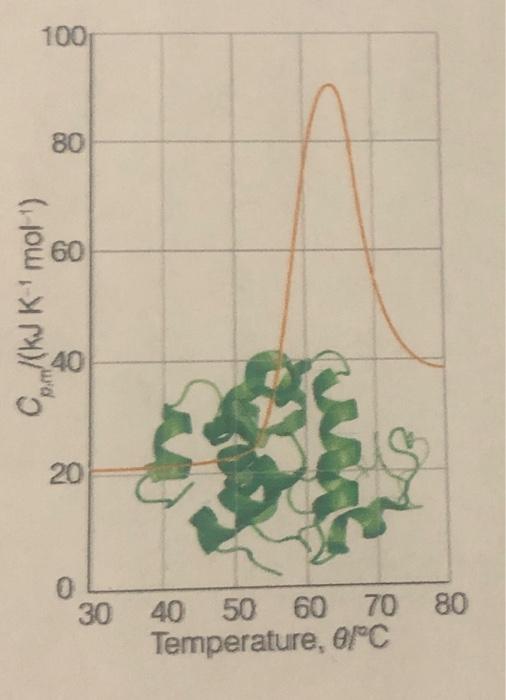 Solved 5. In the thermogram above, the baseline at low | Chegg.com