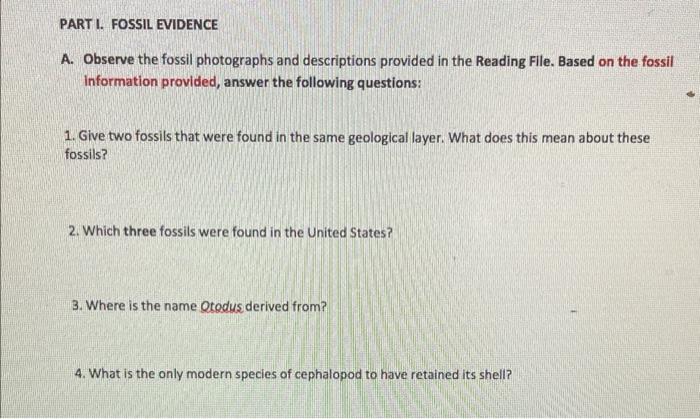 Solved PARTI. FOSSIL EVIDENCE A. Observe the fossil | Chegg.com