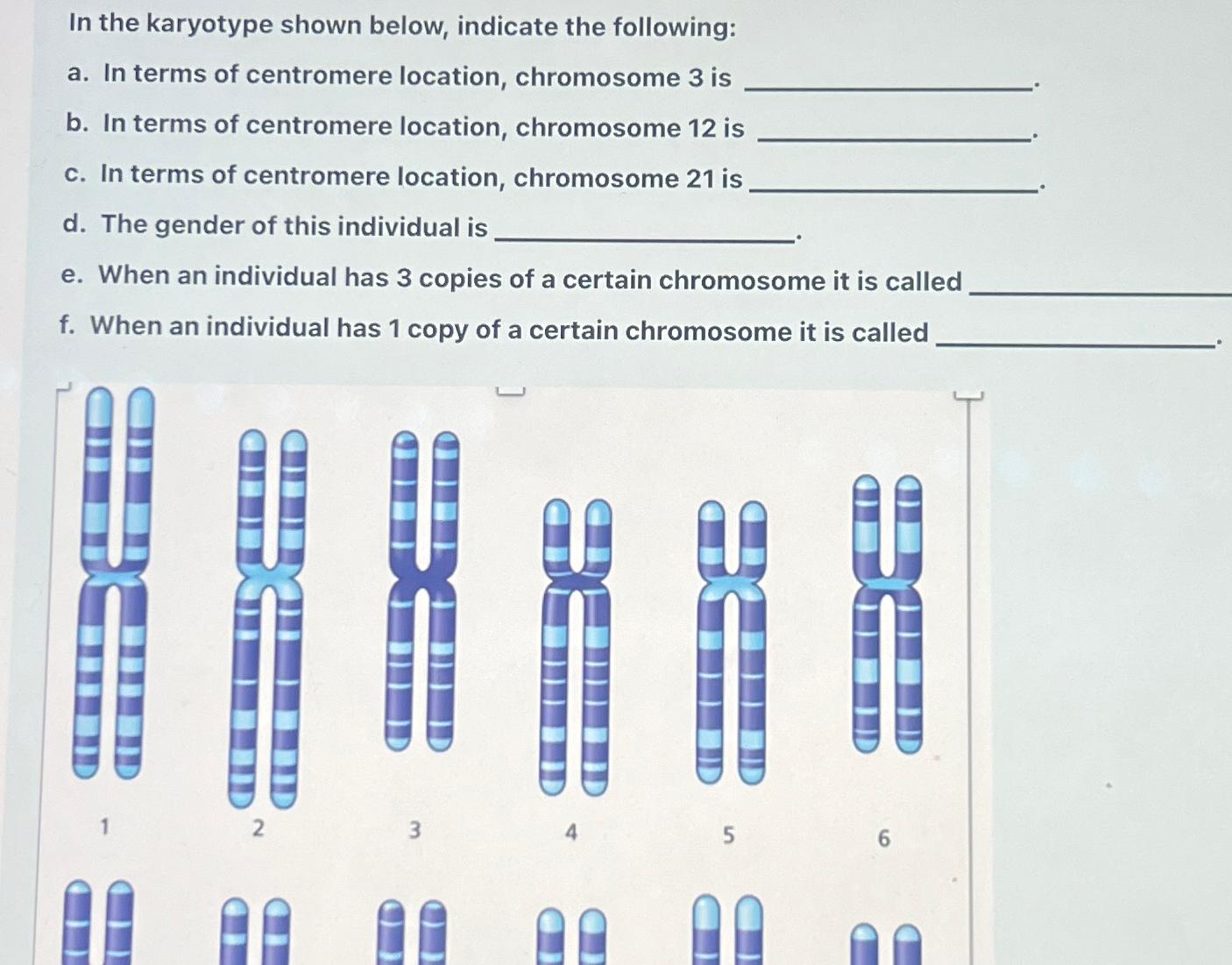 Solved In the karyotype shown below, indicate the | Chegg.com
