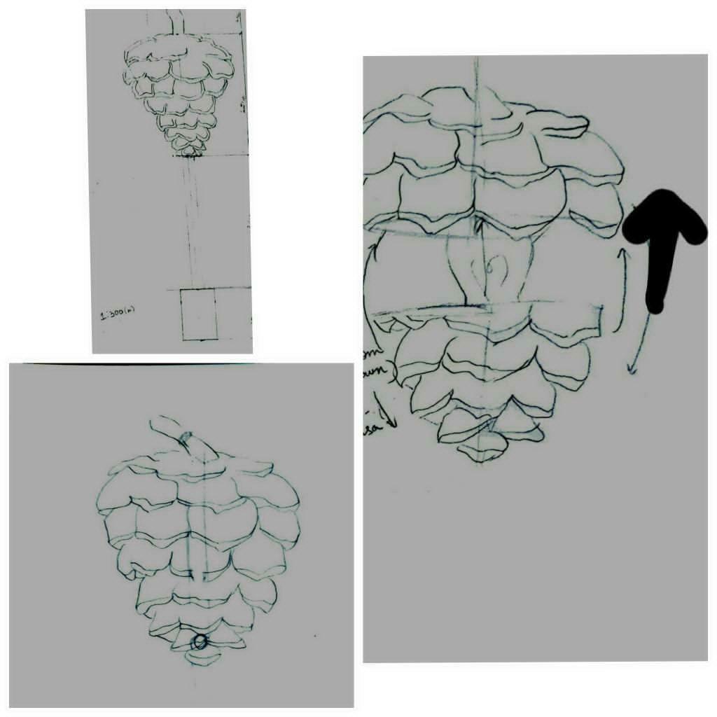 Designing- (To be done in CAD ) please help! much | Chegg.com