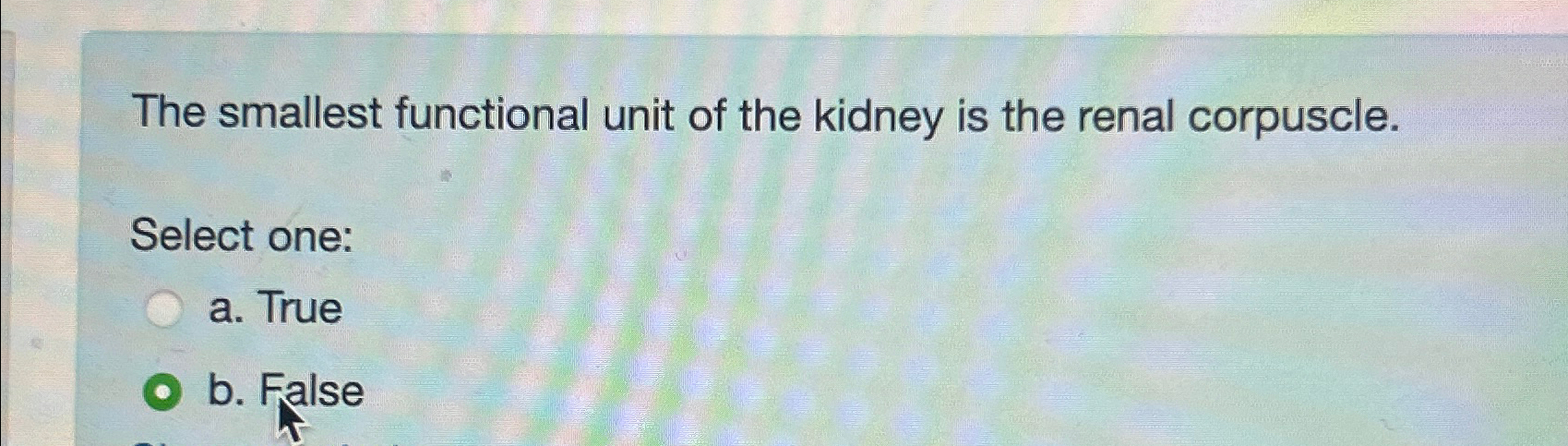 Solved The smallest functional unit of the kidney is the | Chegg.com