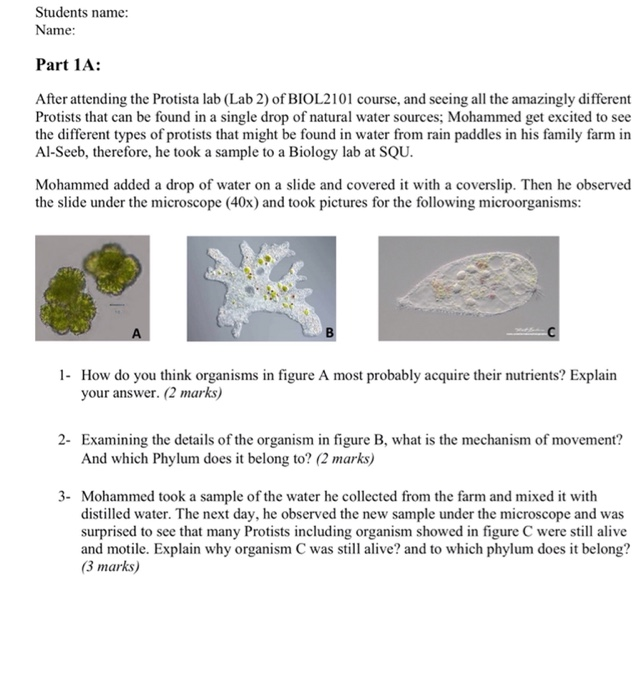 Solved Students name: Name: Part 1A: After attending the | Chegg.com