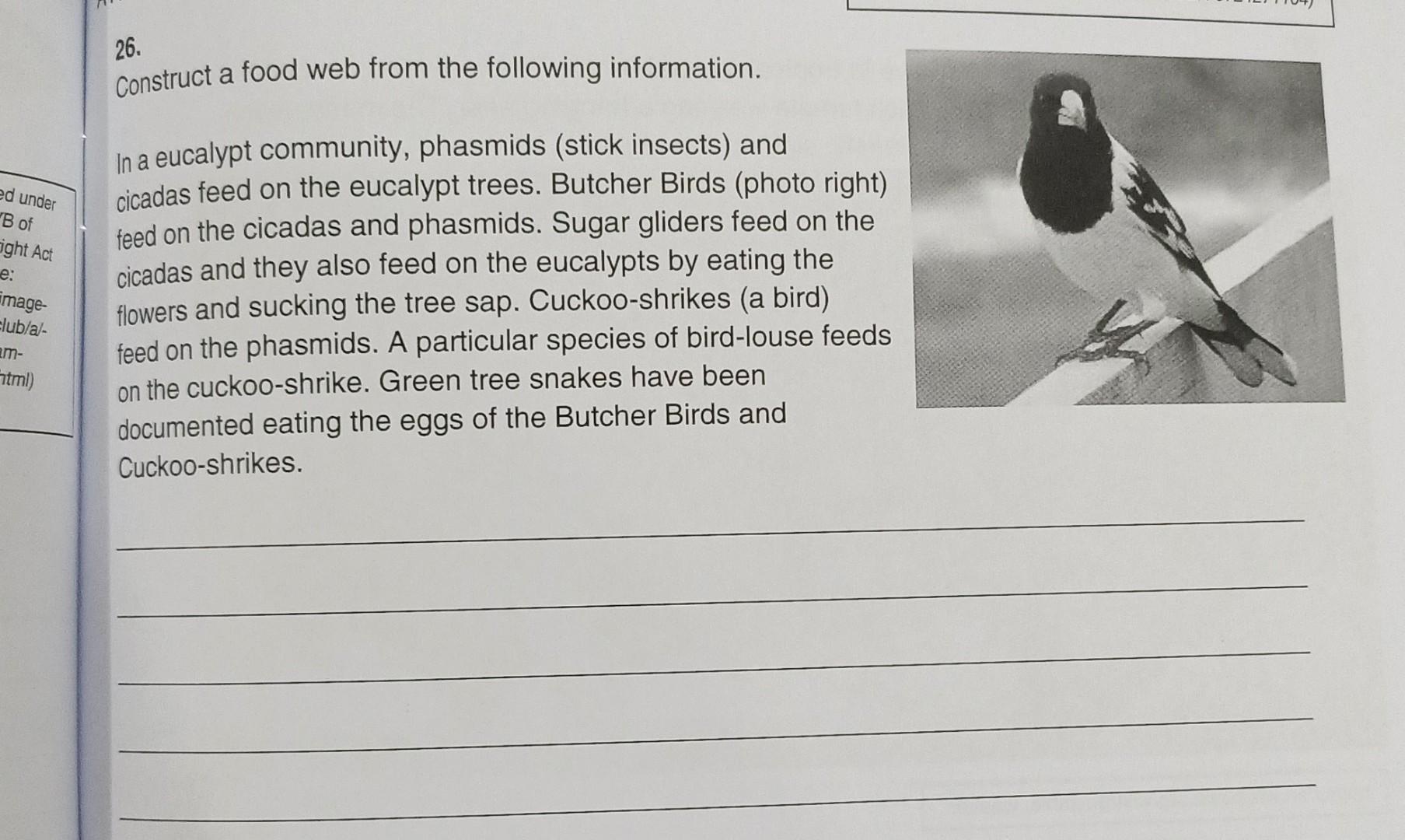 Solved 26. construct a food web from the following | Chegg.com