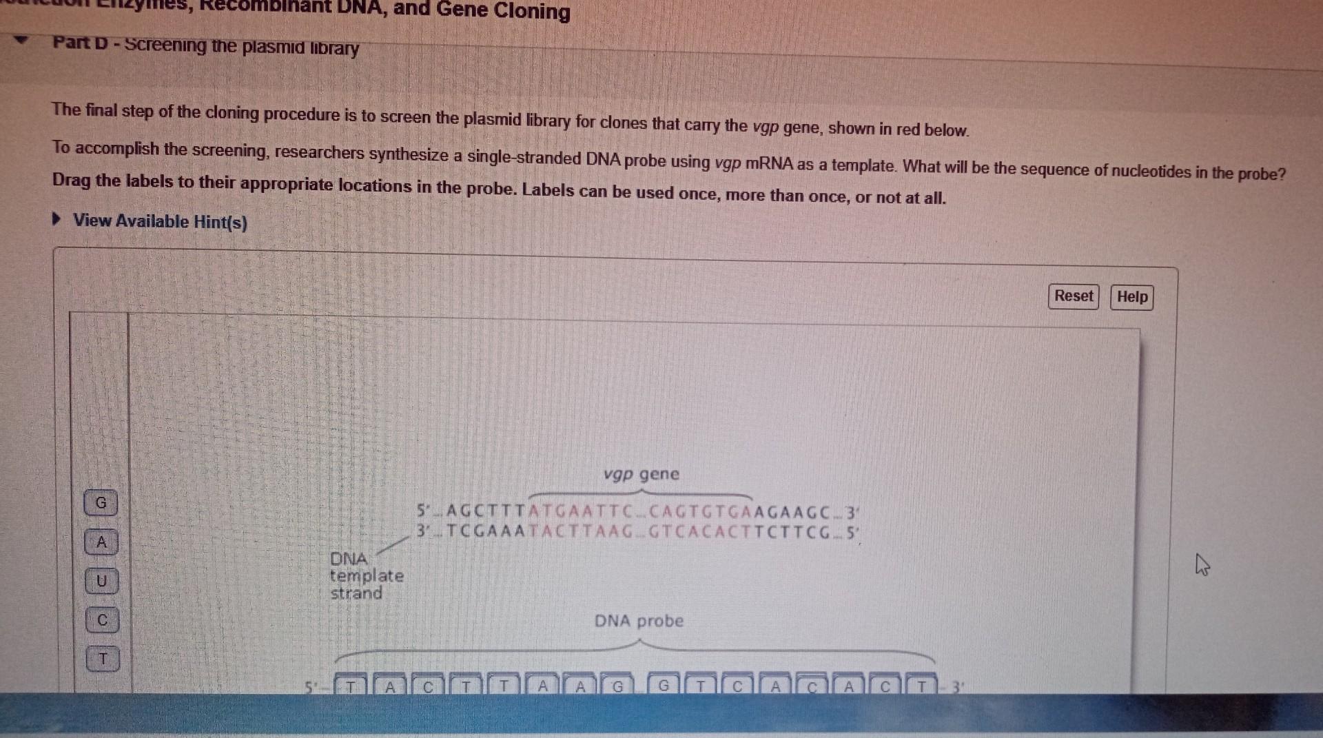 Solved Part D - Screening the plasmid ibrary The final step | Chegg.com