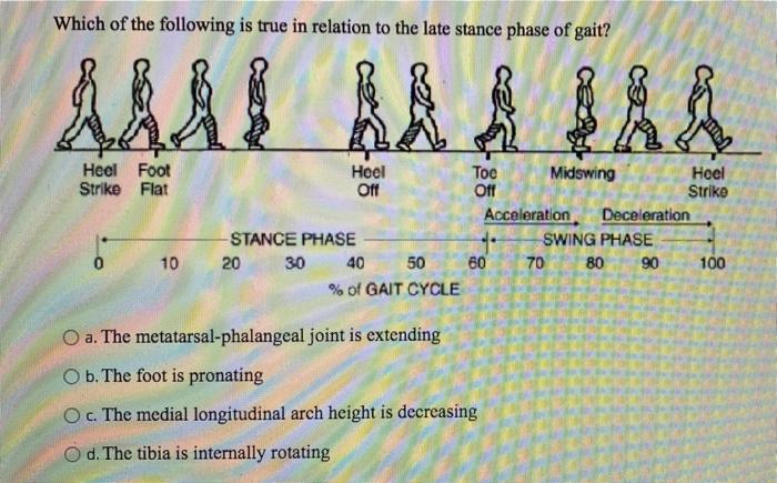 Solved Which of the following is true in relation to the | Chegg.com