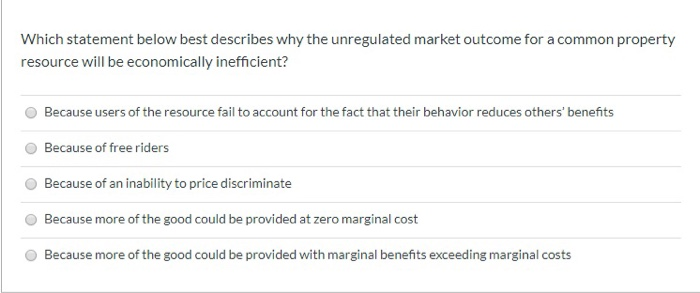 Solved What are the two characteristics of a public good? | Chegg.com