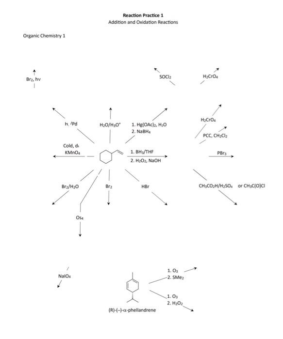 Solved Reaction Practice 1 Addition and Oxidation Reactions | Chegg.com