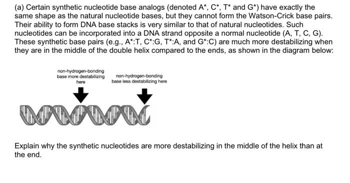 Solved (a) Certain synthetic nucleotide base analogs | Chegg.com