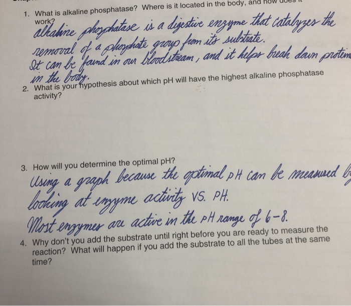 Solved To perform the experiment: 1) Use colored marking | Chegg.com