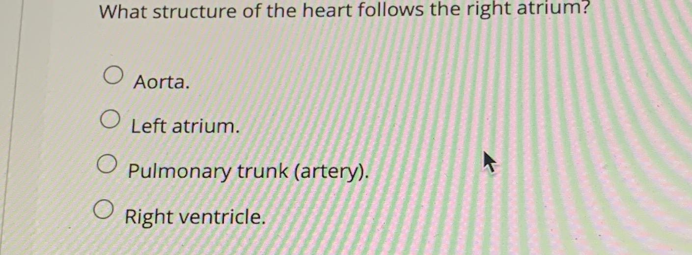 Solved What structure of the heart follows the right | Chegg.com