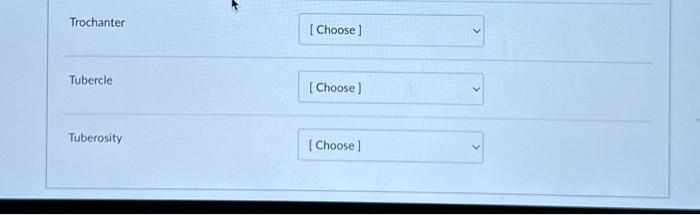 Solved To access disarticulated bones with color-coded bone | Chegg.com