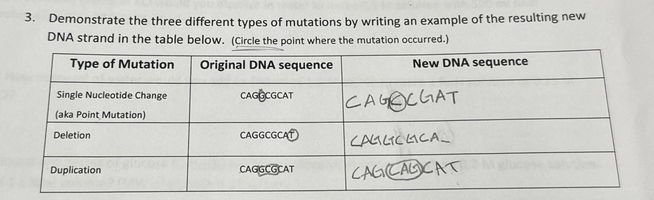Solved Demonstrate the three different types of mutations by | Chegg.com