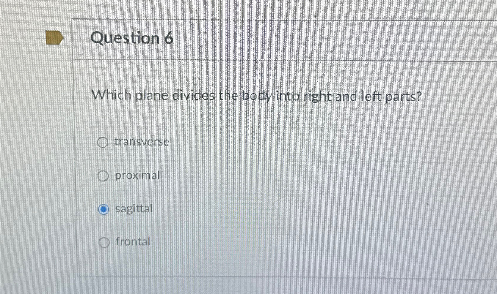 Solved Question 6Which plane divides the body into right and | Chegg.com