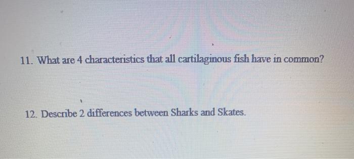 Solved 11. What are 4 characteristics that all cartilaginous | Chegg.com